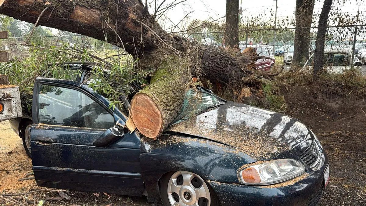 Árbol cae sobre auto en Metepec y deja dos heridos